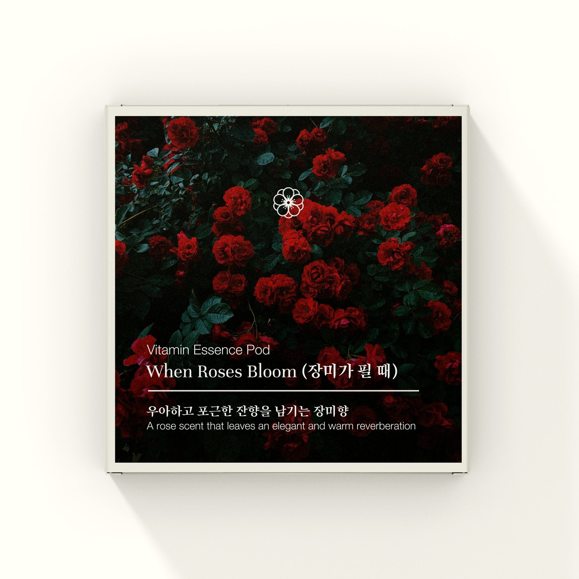 When Roses Bloom - Rose – Soom Shower